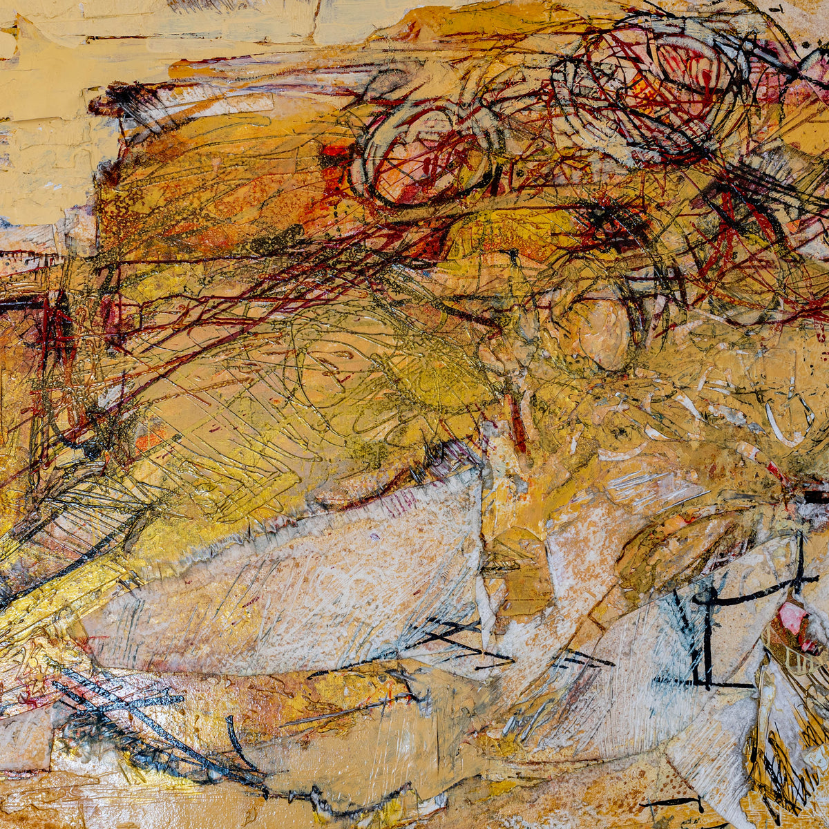 Shredded Coast | John Berrick